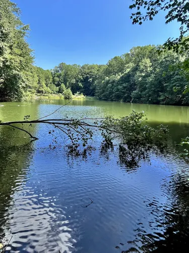 10 Best Hikes and Trails in State Game Lands Number 156 | AllTrails