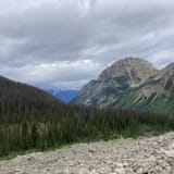 Gorman Lake Trail, British Columbia, Canada - 138 Reviews, Map | AllTrails