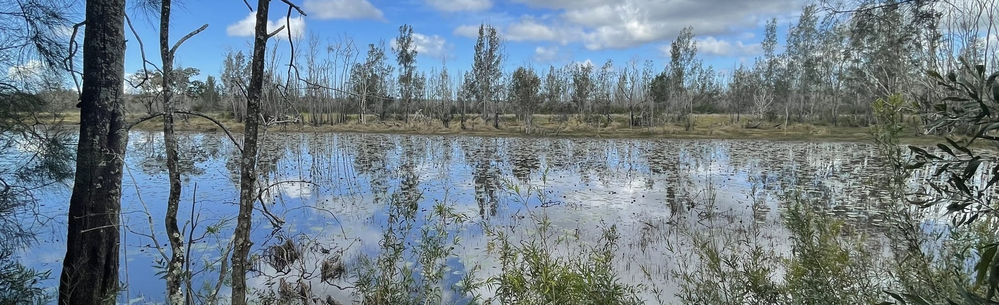 Cattai Wetlands Loop, New South Wales, Australia - 24 Reviews, Map ...