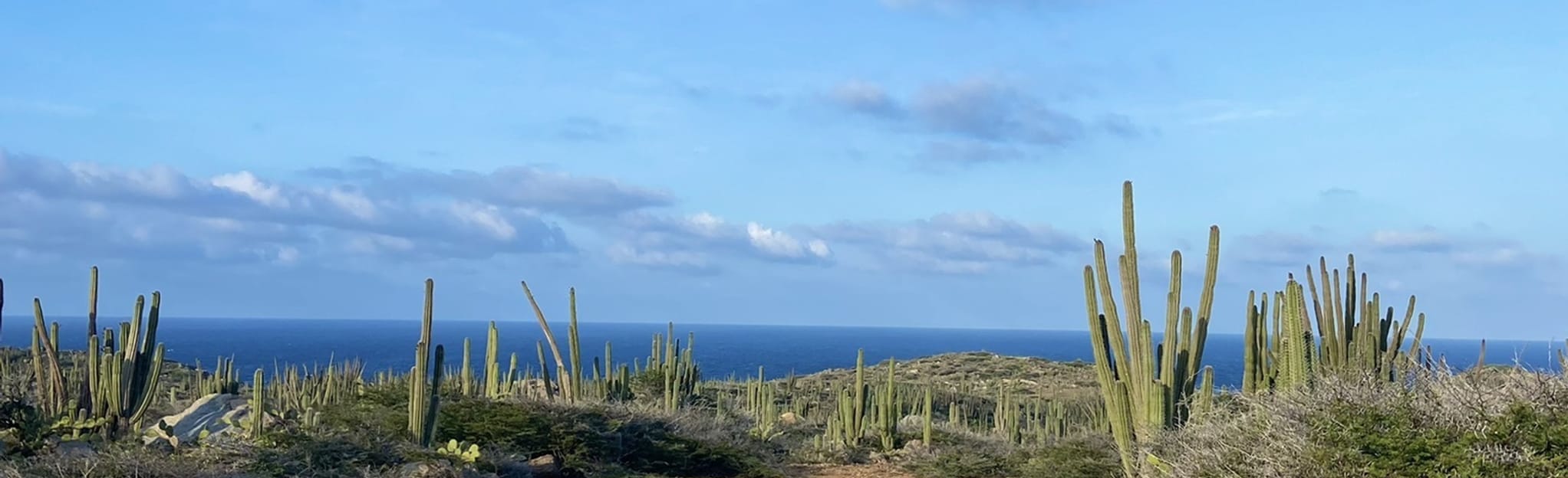 Calbas - Wariruri Bay - Bushiribana, Aruba, Aruba - 17 Reviews, Map ...