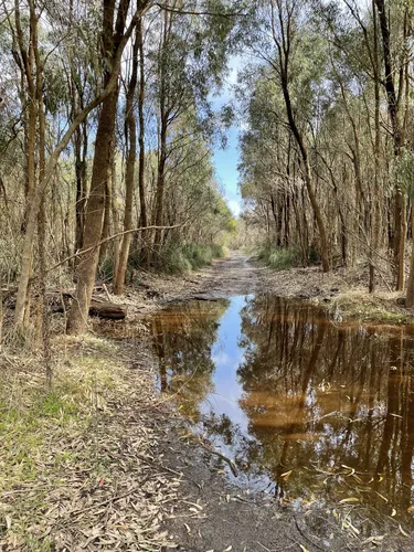 Best Hikes and Trails in Rockingham Lakes Regional Park | AllTrails