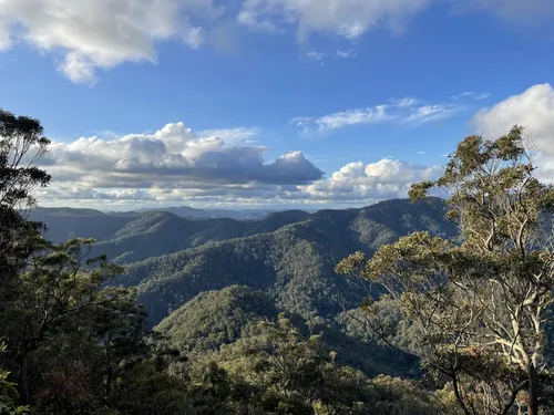 10 Best Hikes and Trails in D’Aguilar National Park | AllTrails