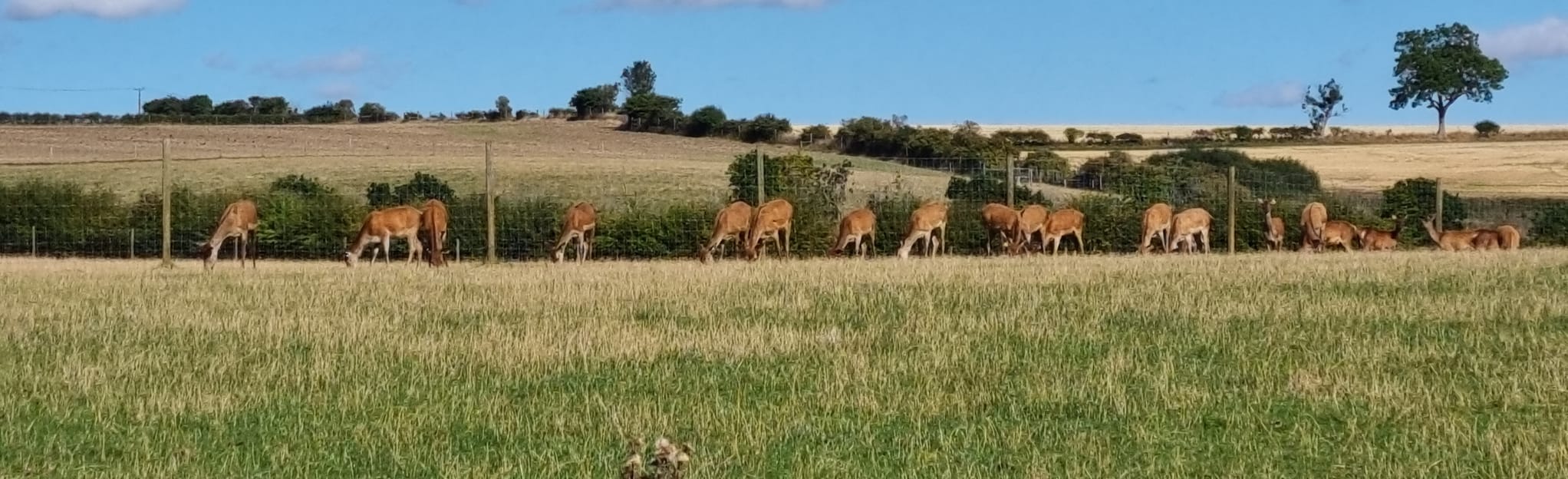 Walesby and Tealby Walk: 250 Reviews, Map - Lincolnshire, England ...
