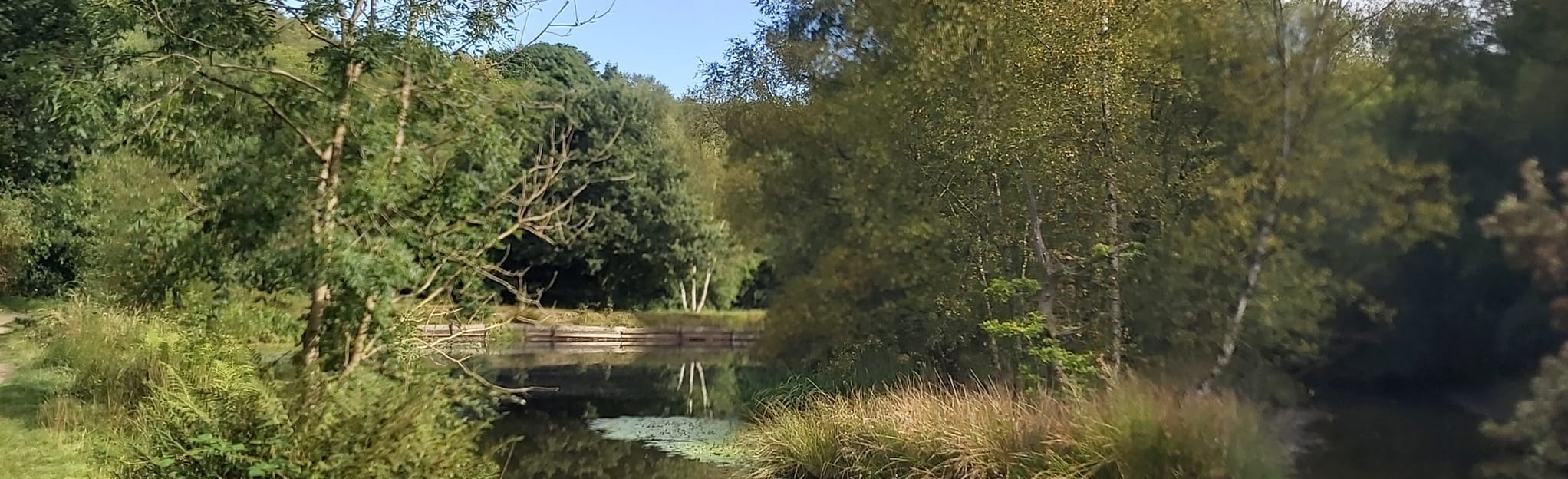 Rochdale to Bacup Line and Healey Dell Viaduct Circular: 51 Reviews ...