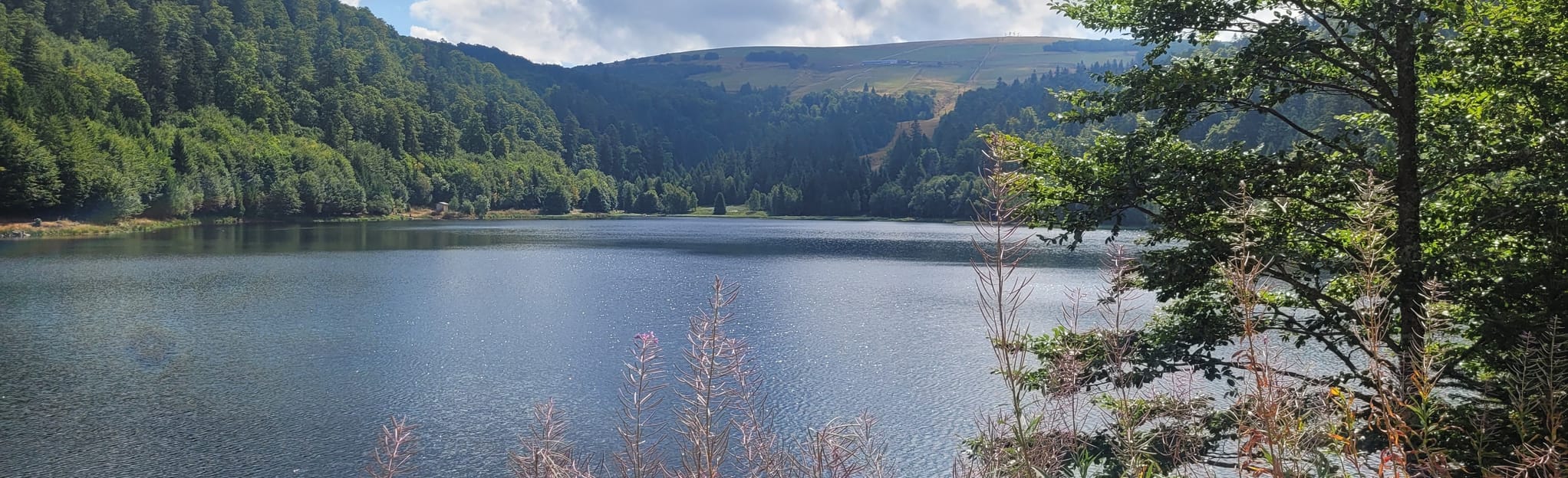 Lac de la Lande: 130 foto's - Vosges, Frankrijk | Wandelen - AllTrails