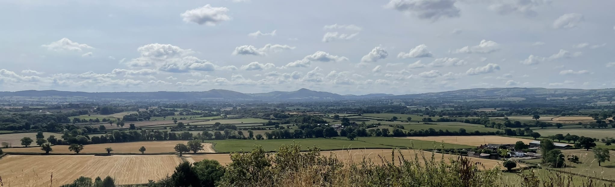 Lyth Hill Circular: 94 foto - Shropshire, Inghilterra | AllTrails