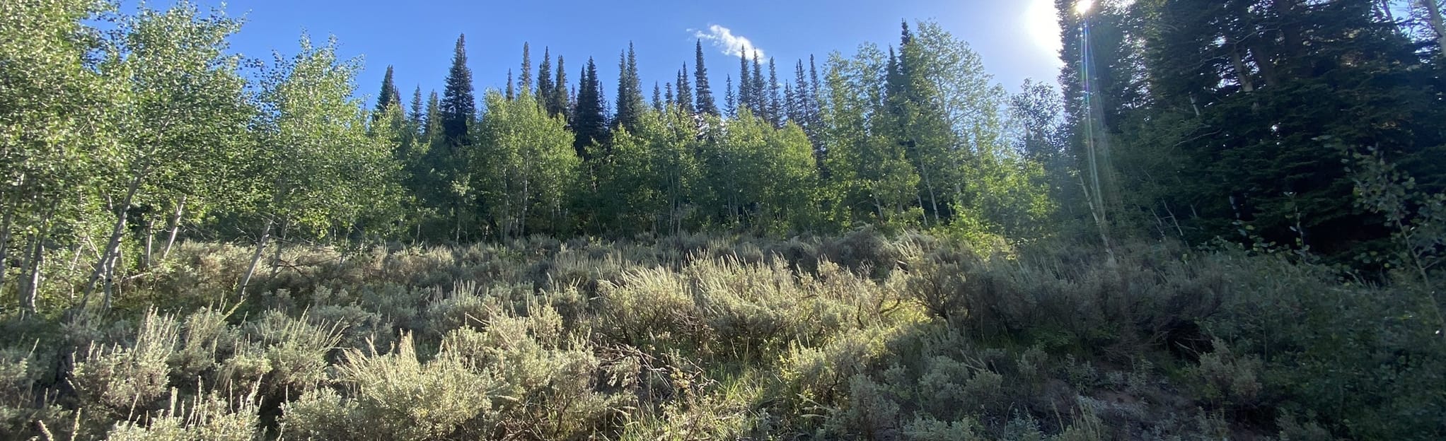 Round Valley OHV Route: 9 Reviews, Map - Utah | AllTrails