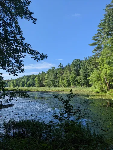 Best Hikes and Trails in Chenango Valley State Park | AllTrails