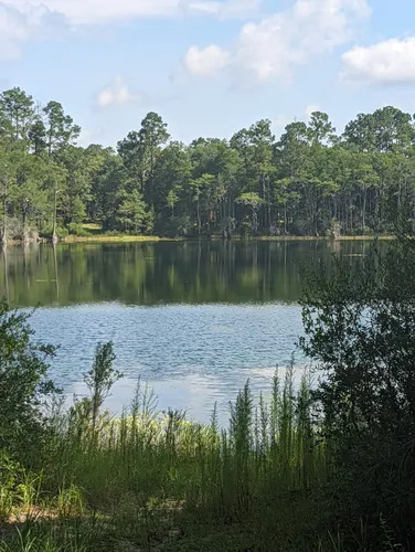 Best Hikes and Trails in Silver Lake Recreation Area | AllTrails