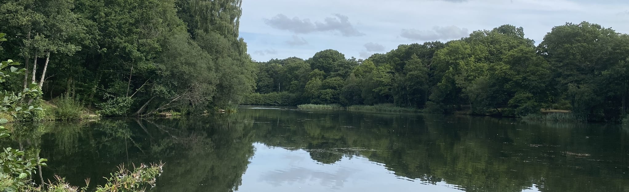 Forest of Dean and Cannop Ponds Circular: 103 foto's - Gloucestershire ...