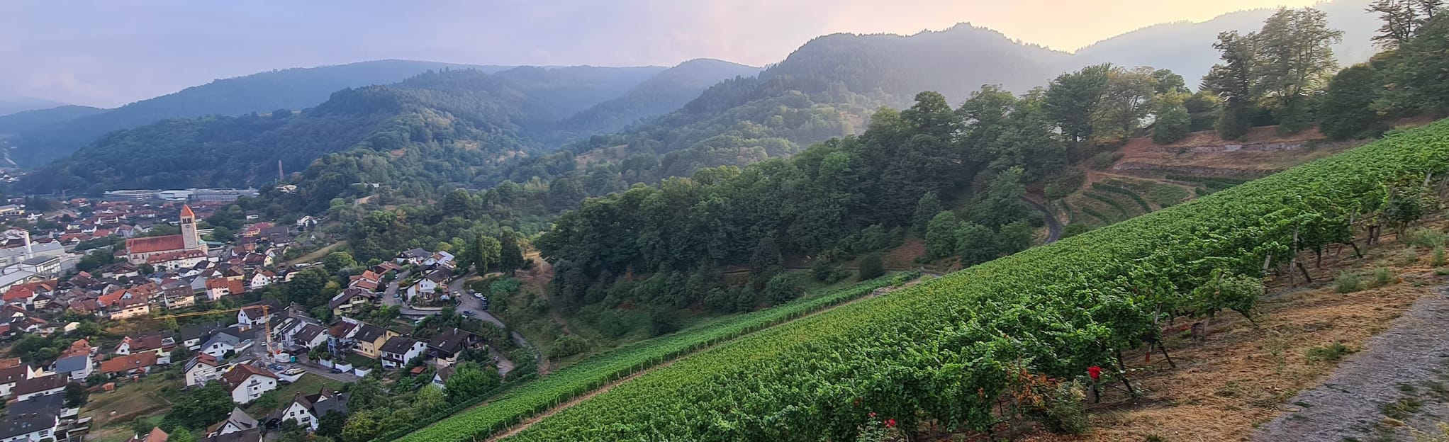 Gernsbacher Sagenweg, Baden-Württemberg, Germany - 12 Reviews, Map ...