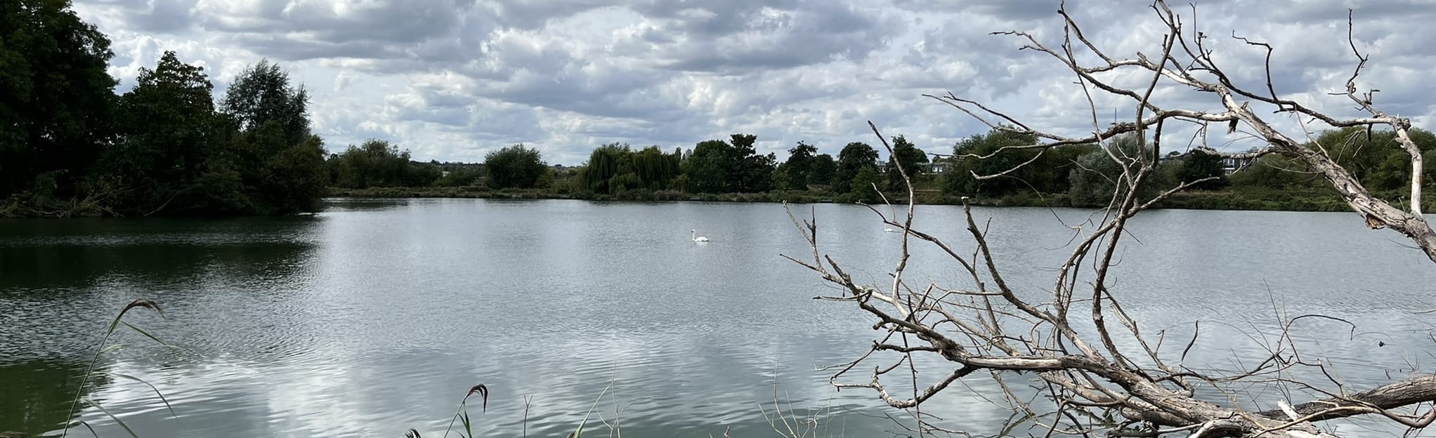 Walthamstow Wetlands and Lockwood Reservoir Circular | Mappa, Guida ...