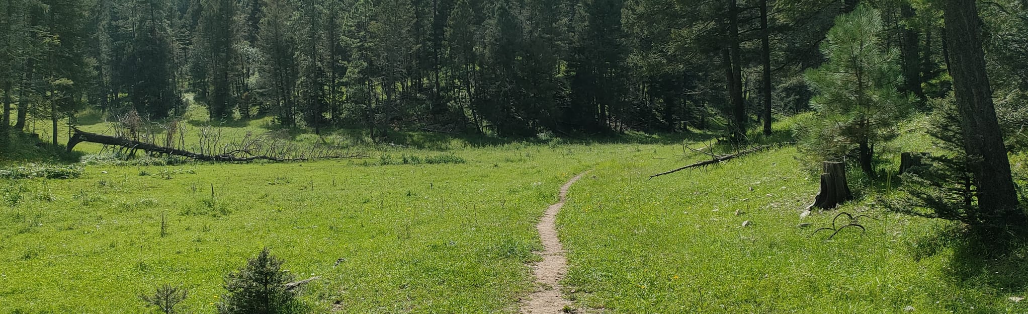 Zinker Short Loop: 82 Fotos - New-Mexiko | AllTrails