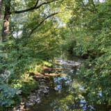 Richland Creek Greenway (McCabe Golf Course Loop), Tennessee - 1,034 ...