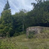 Gomshall Mill and Netley Park Circular, Surrey, England - 219 Reviews ...