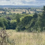 Gomshall Mill and Netley Park Circular, Surrey, England - 219 Reviews ...