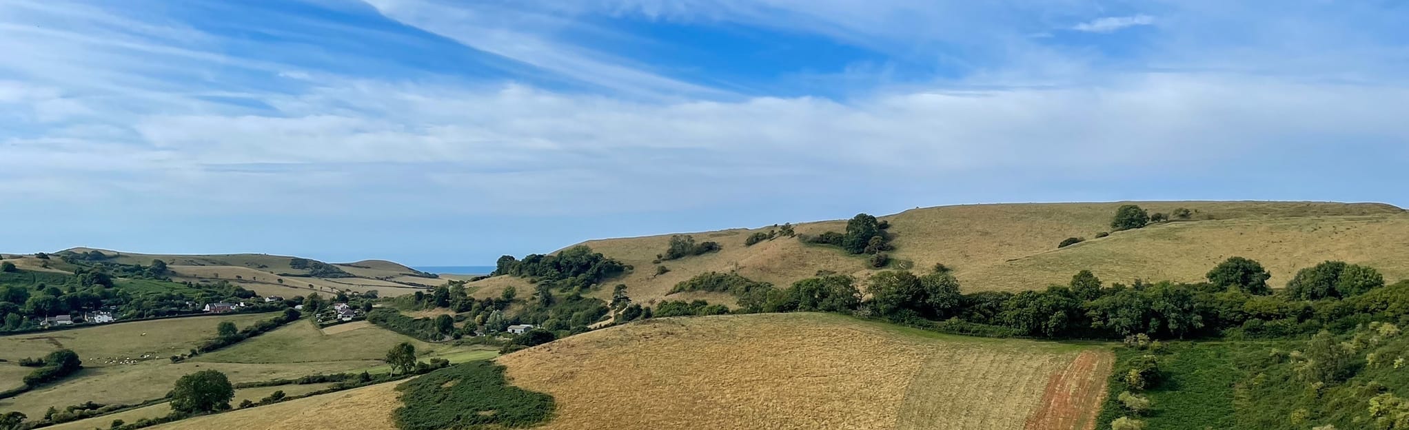 Hell Lane Circular: 160 Fotos - Dorset, England | AllTrails