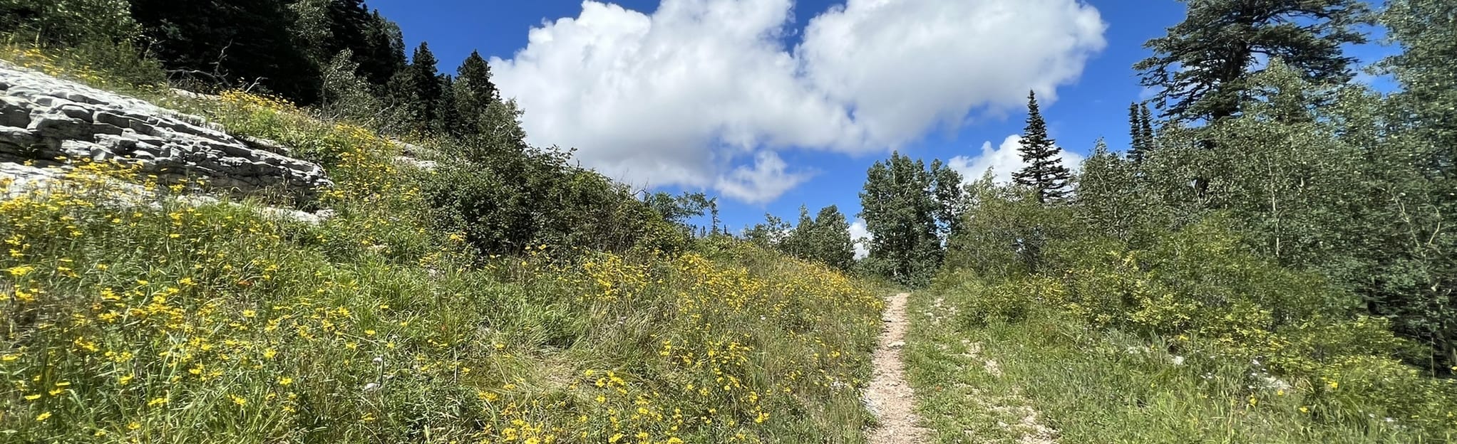 9 Mile Loop Trail, 10K Trail and Capulin Trail, New Mexico - 26 Reviews ...