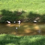 Faulkey Gully Hike and Bike Trail, Texas - 234 Reviews, Map | AllTrails