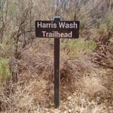 Harris Wash, Utah - 21 Reviews, Map | AllTrails