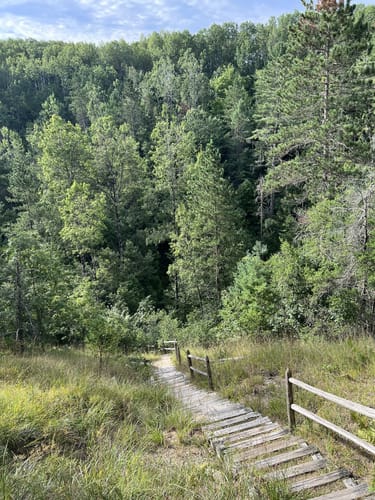 Best Hikes and Trails in Atlanta State Forest Area | AllTrails