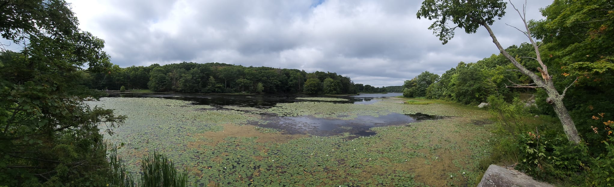 Cherry Ridge Loop: 62 Reviews, Map - New Jersey | AllTrails