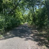 Rowlett Creek DORBA Full Trail, Texas - 463 Reviews, Map | AllTrails