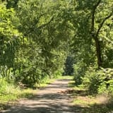 Rowlett Creek DORBA Full Trail, Texas - 463 Reviews, Map | AllTrails