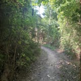 Rowlett Creek DORBA Full Trail, Texas - 463 Reviews, Map | AllTrails