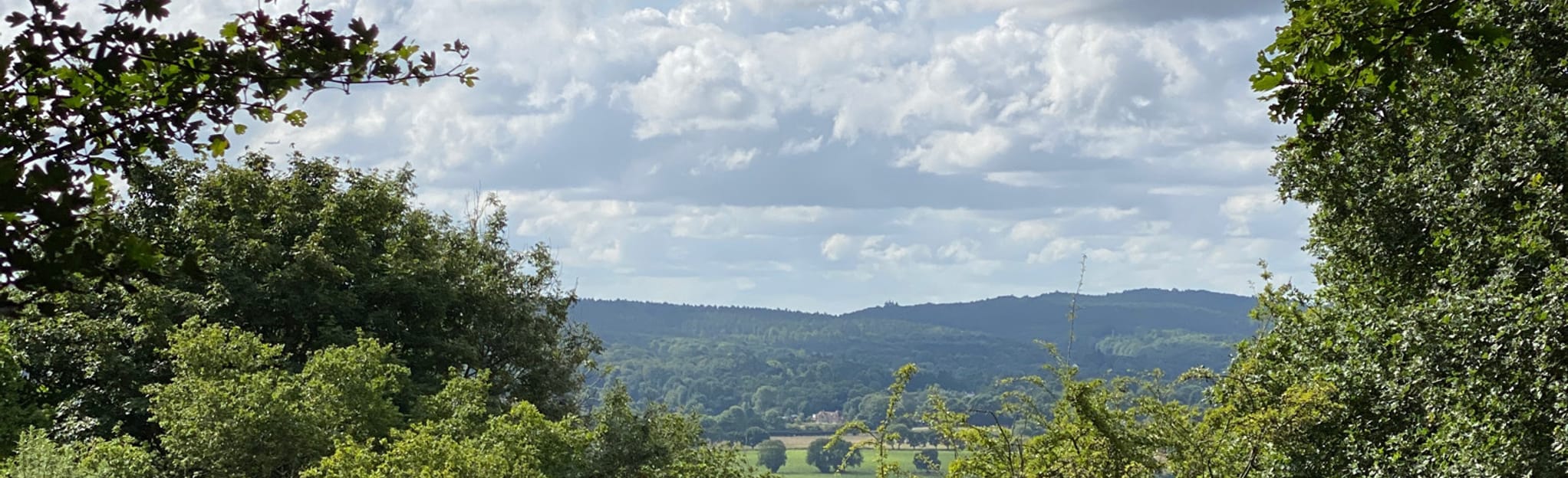 Shere, North Downs, and Gomshall Circular: 179 foto's - Surrey ...