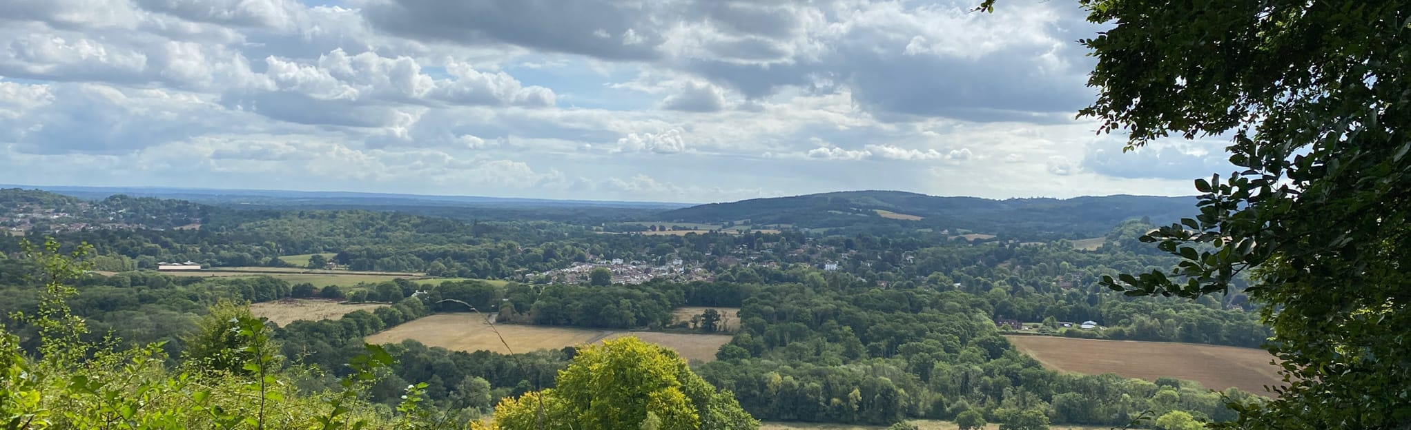 Denbies Hillside to Hackhurst Downs to Ashcombe Wood Circular - Surrey ...
