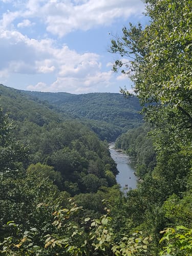 Best Hikes and Trails in Bear Run Nature Reserve | AllTrails