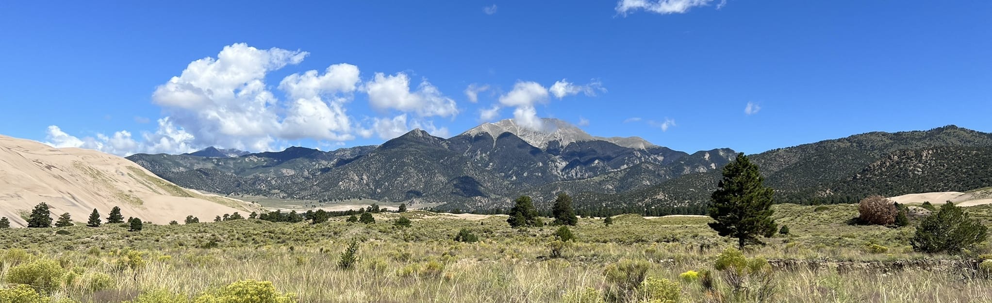 Pinyon Flats to Medano Pass OHV Route: 65 Reviews, Map - Colorado ...