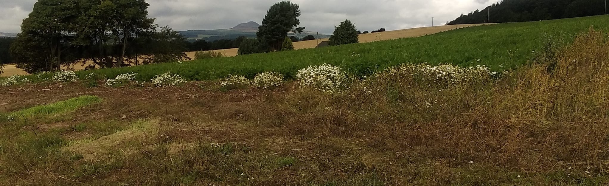 Markinch and Balbirnie Park Circular, Fife, Scotland - 8 Reviews, Map ...