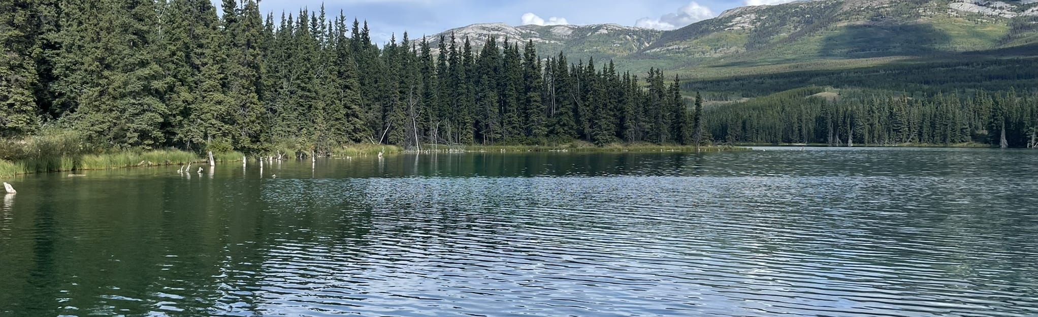 Chadburn Lake Paddle: 3 Reviews, Map - Yukon, Canada | AllTrails