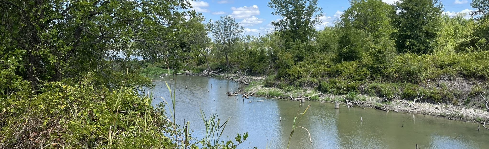 Granger Lake Trail, Texas - 276 Reviews, Map | AllTrails