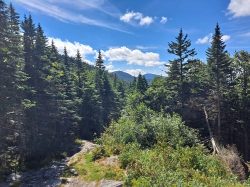 2023 Best Camping Trails in Mount Mansfield State Forest | AllTrails