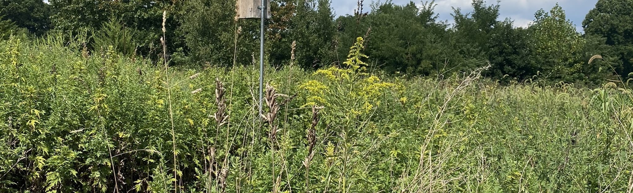 Houston Meadow Loop: 380 Reviews, Map - Pennsylvania | AllTrails