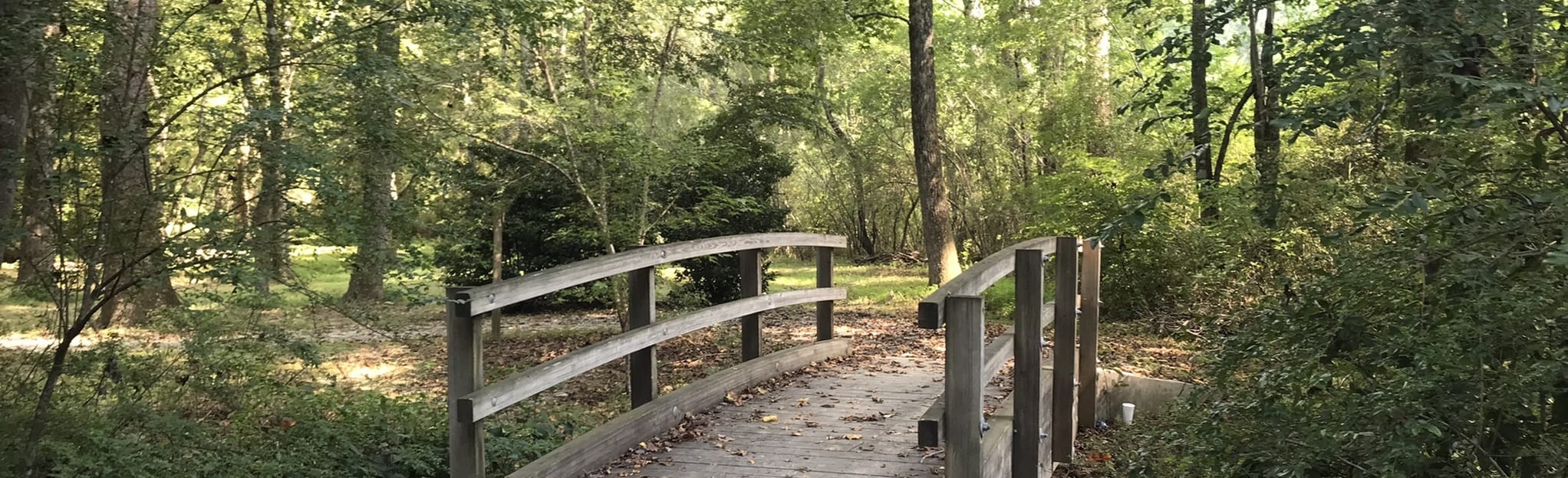 Midway Park Loop, Georgia - 21 Reviews, Map | AllTrails