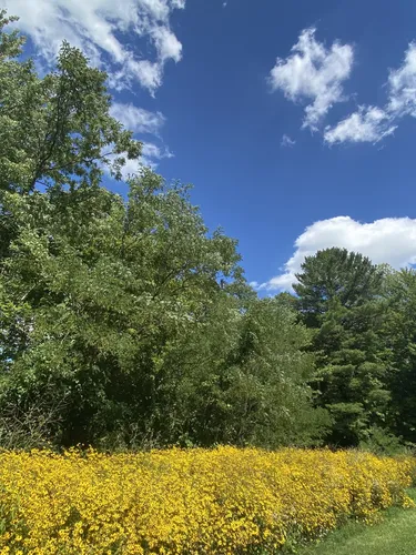 Best Hikes and Trails in Environmental Learning Center | AllTrails