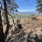 Eagle Ridge Trail, Nevada - 618 Reviews, Map | AllTrails