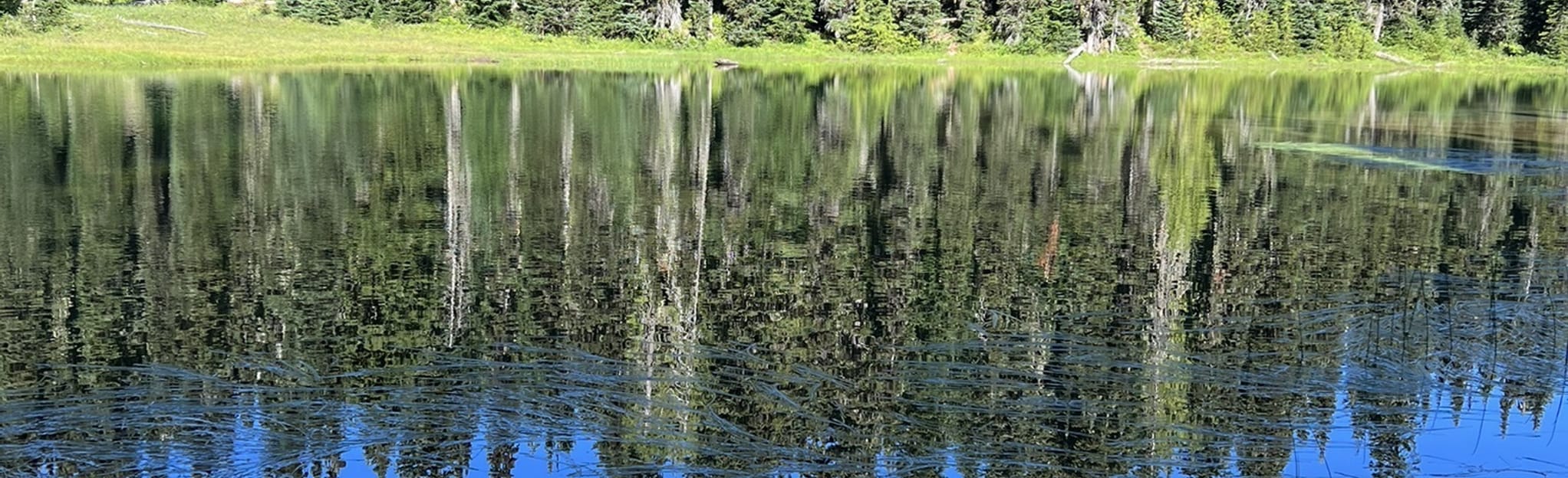 Northway, Crystal Mountain, PCT, and Bullion Basin Trail Loop: 21 ...