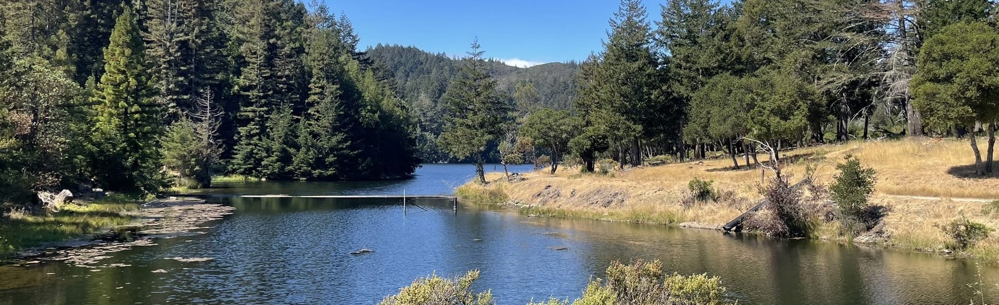 Bon Tempe Lake and Phoenix Lake Loop, California - 144 Reviews, Map ...