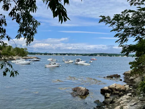 Best Hikes and Trails in Misery Island Reservation | AllTrails