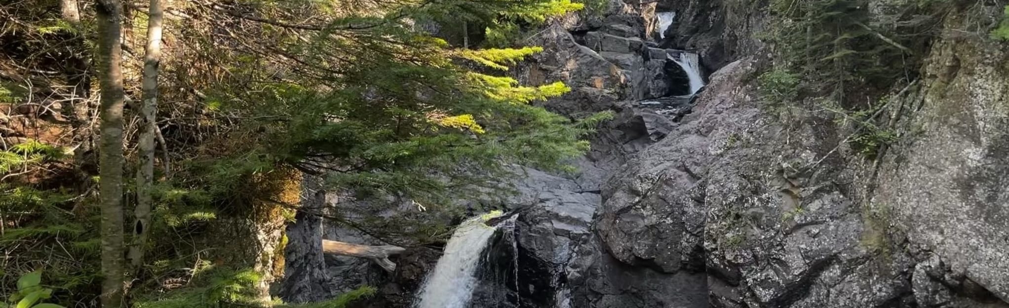 Moose Mountain Loop via Cascade Trail C: 20 Reviews, Map - Minnesota ...