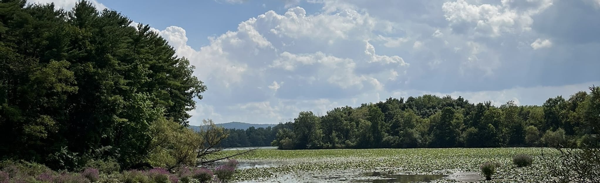 Lake Ontelaunee Trail: 92 Reviews, Map - Pennsylvania | AllTrails