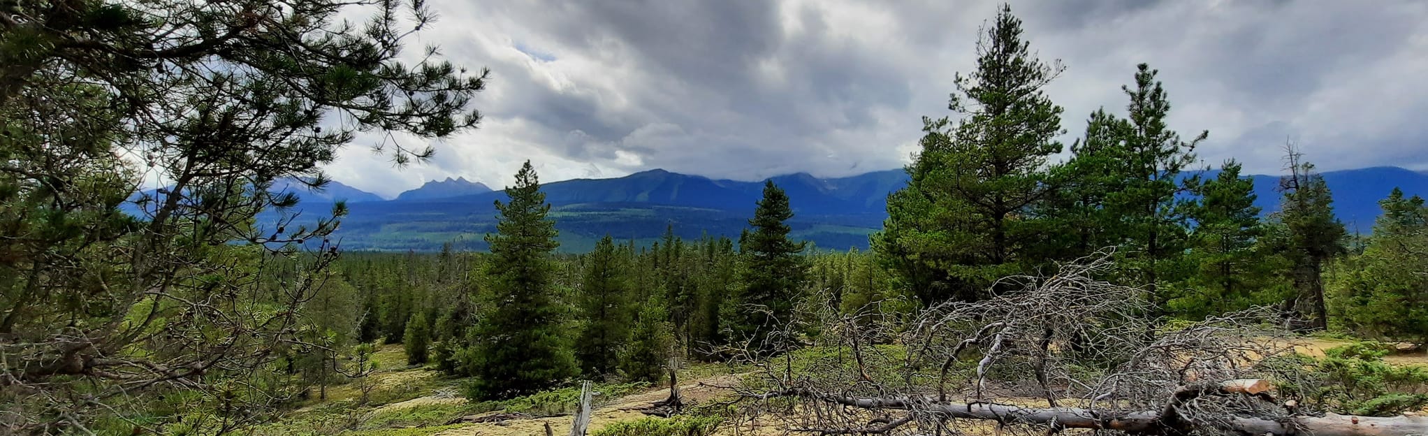 Big Dune Trail | Map, Guide - British Columbia, Canada | AllTrails