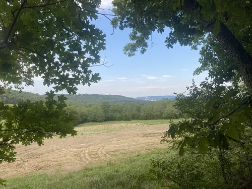 10 Best Trails and Hikes in Fayetteville | AllTrails