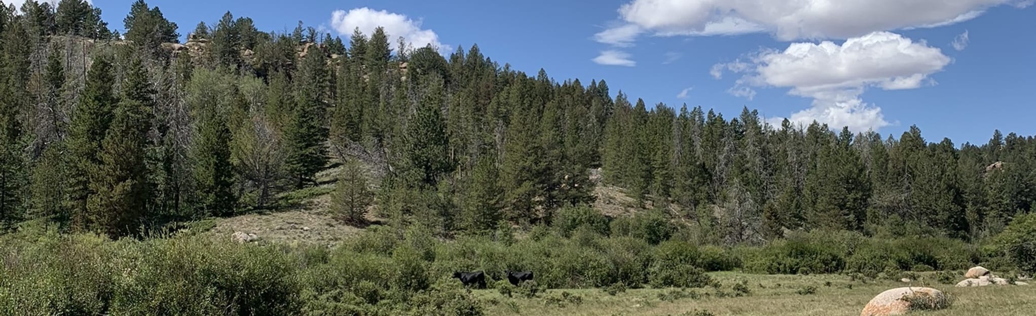 Skeleton Trail and Cow Trail: 108 Reviews, Map - Wyoming | AllTrails