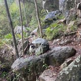 Magens Bay Beach Trail, Saint Thomas, US Virgin Islands - 323 Reviews ...